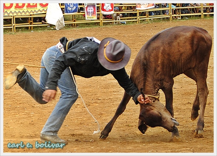 Bukidnon Photo Journal: Wild, Wild West Action of the Kaamulan Rodeo 2012