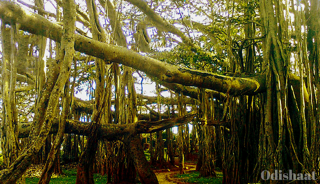 Haunted Place in Odisha - Beautifull Place