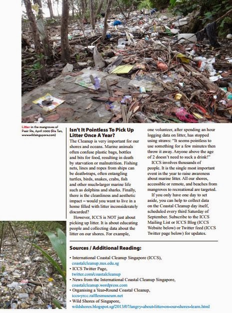 wild shores of singapore: Marine litter featured in a magazine for ...