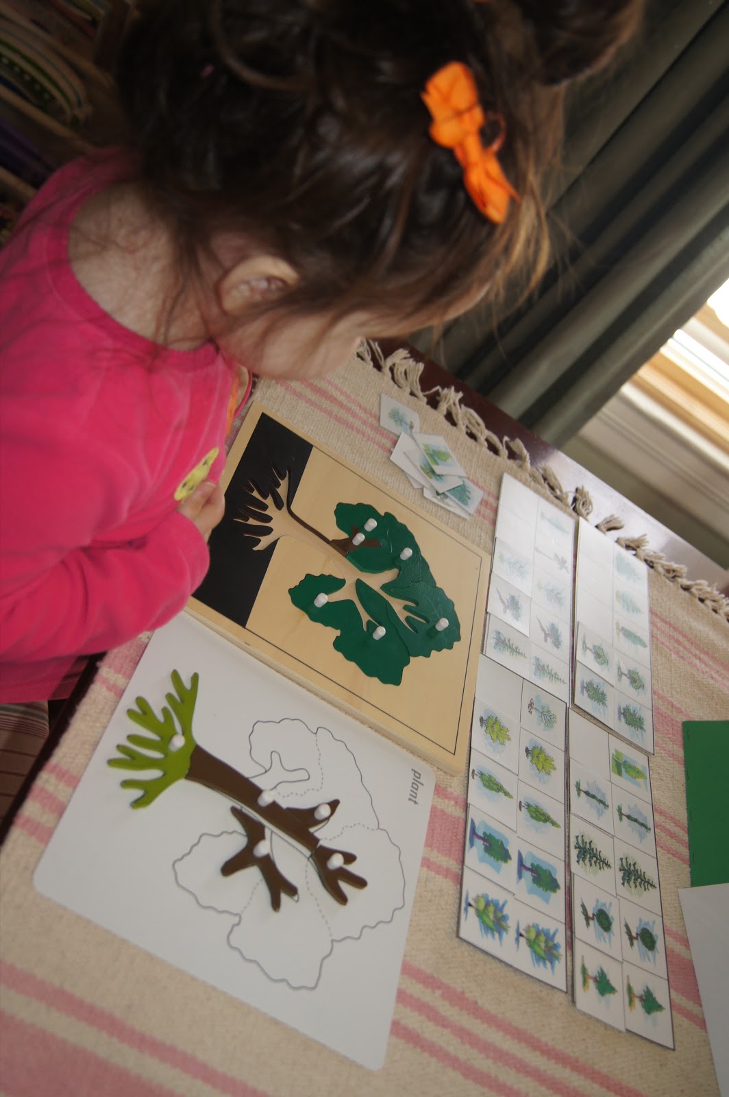 Botany 1 - Montessori Botany Puzzle Cabinet Work - "Making Montessori Ours"