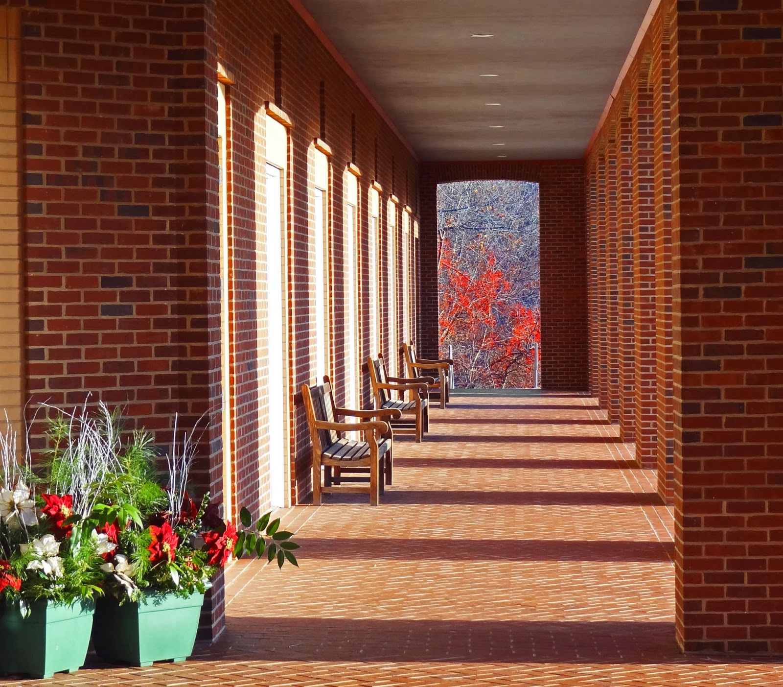 Joe's Retirement Blog: Sunny Day, Plymouth Library, Plymouth ...