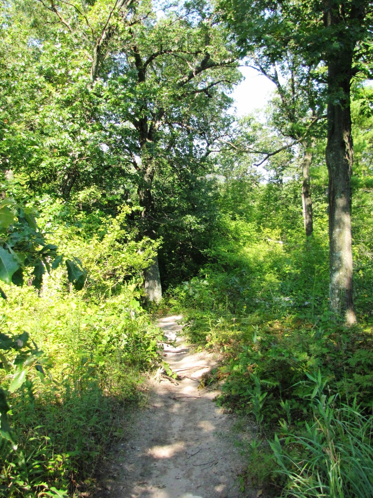 Favourites: The Pinery Provincial Park ~ Real Man Travels