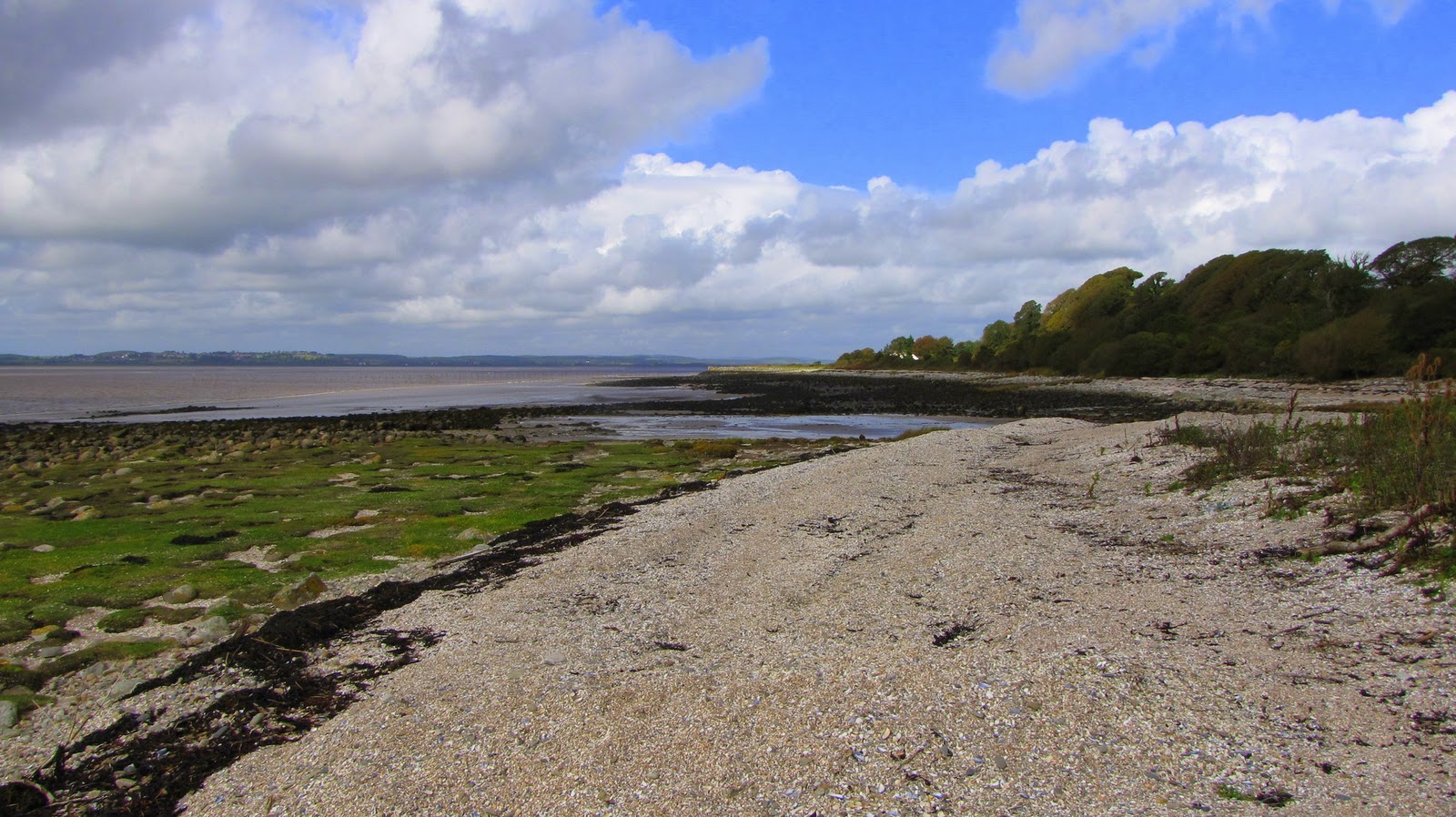 The Glebe Blog: The Dick Institute, Kilmarnock and other outings