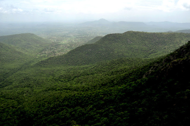 Tamilnadu Tourism: Karadiyur View Point, Yercaud