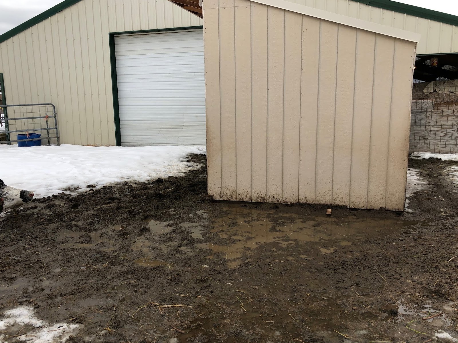 Surviving Winter on the Farm - My Welcome Home Farm