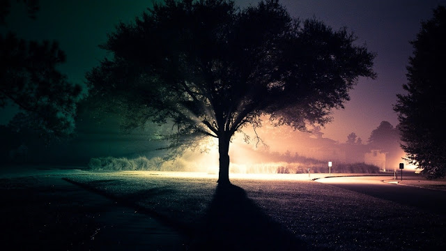 Light Landscapes Trees Night Roads - High Definition Wallpapers - HD ...