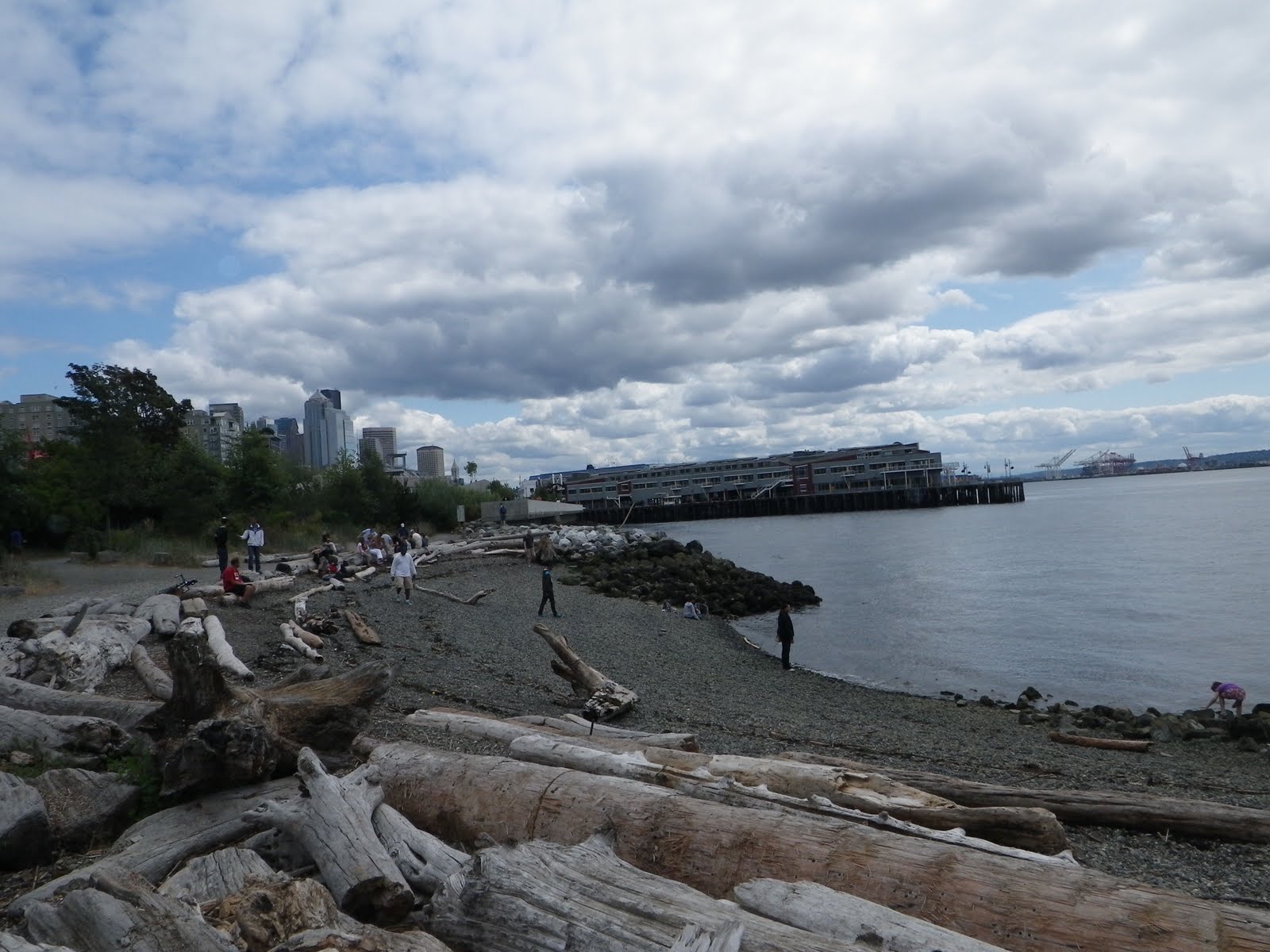The Midnight Library: The Seattle Waterfront Sculpture Park