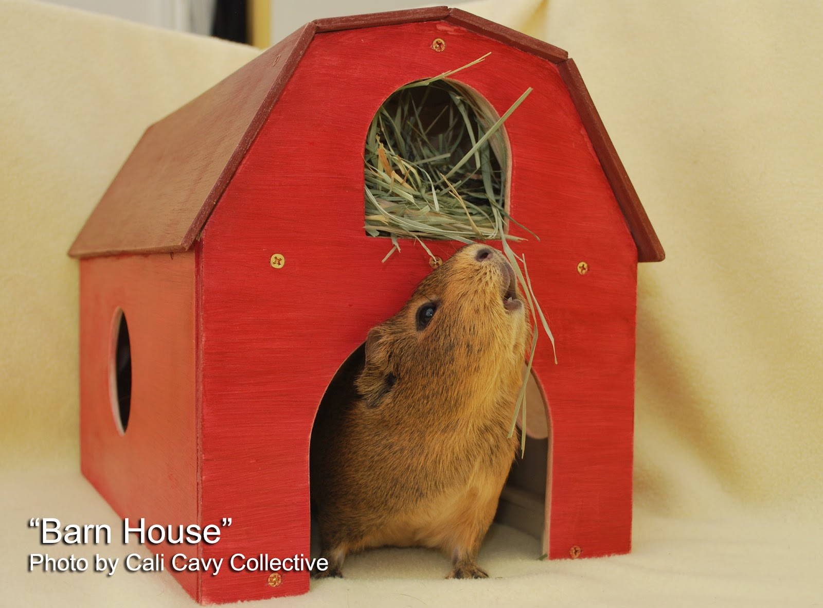 Cali Cavy Collective: a blog about all things guinea pig: Wooden guinea ...