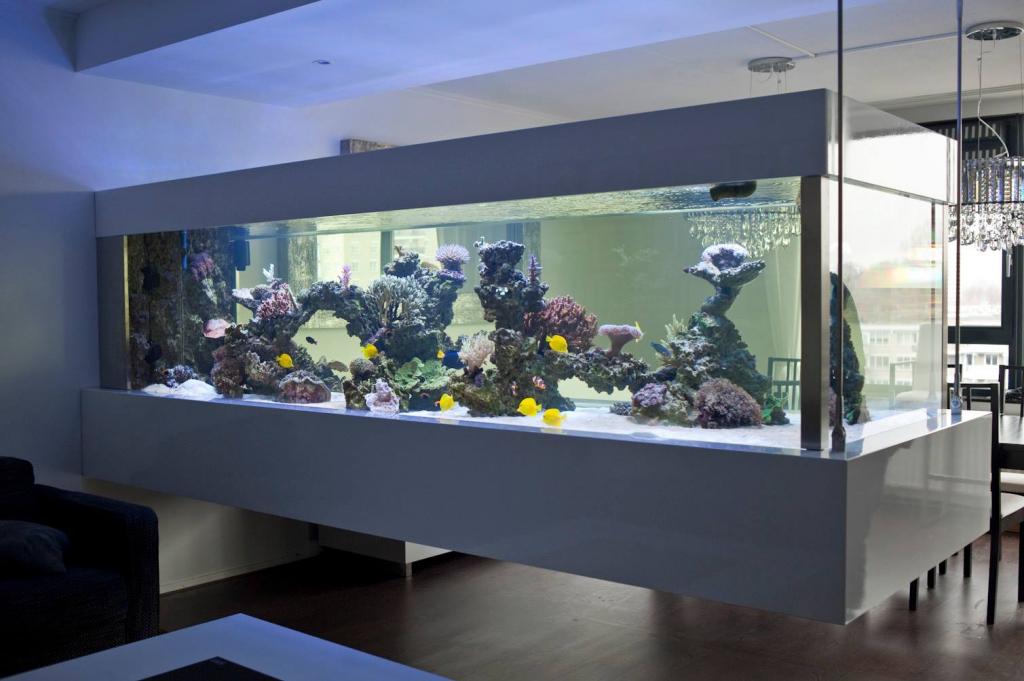 Maria Helena _ Creando tus espacios: El Agua como Elemento decorativo