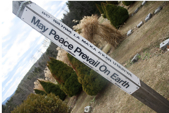 Musings from the Berkshires