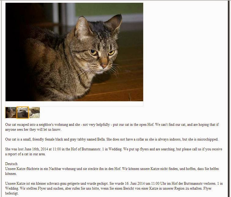 Back to Berlin...and BEYOND: Lost Pet in Germany