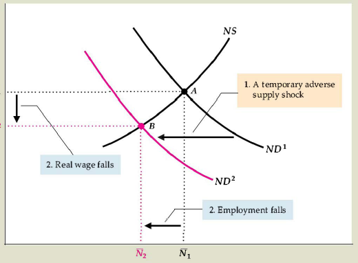 The production function relating output and labor ~ Kravanh-Profite