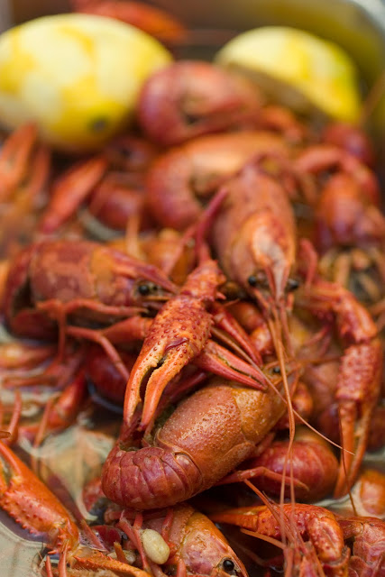 Scrumpdillyicious: Crawfish Etouffée: Celebration of the Mudbug