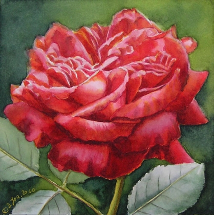 Maher Art Gallery: Doris Joa | German realistic watercolor and oil painter