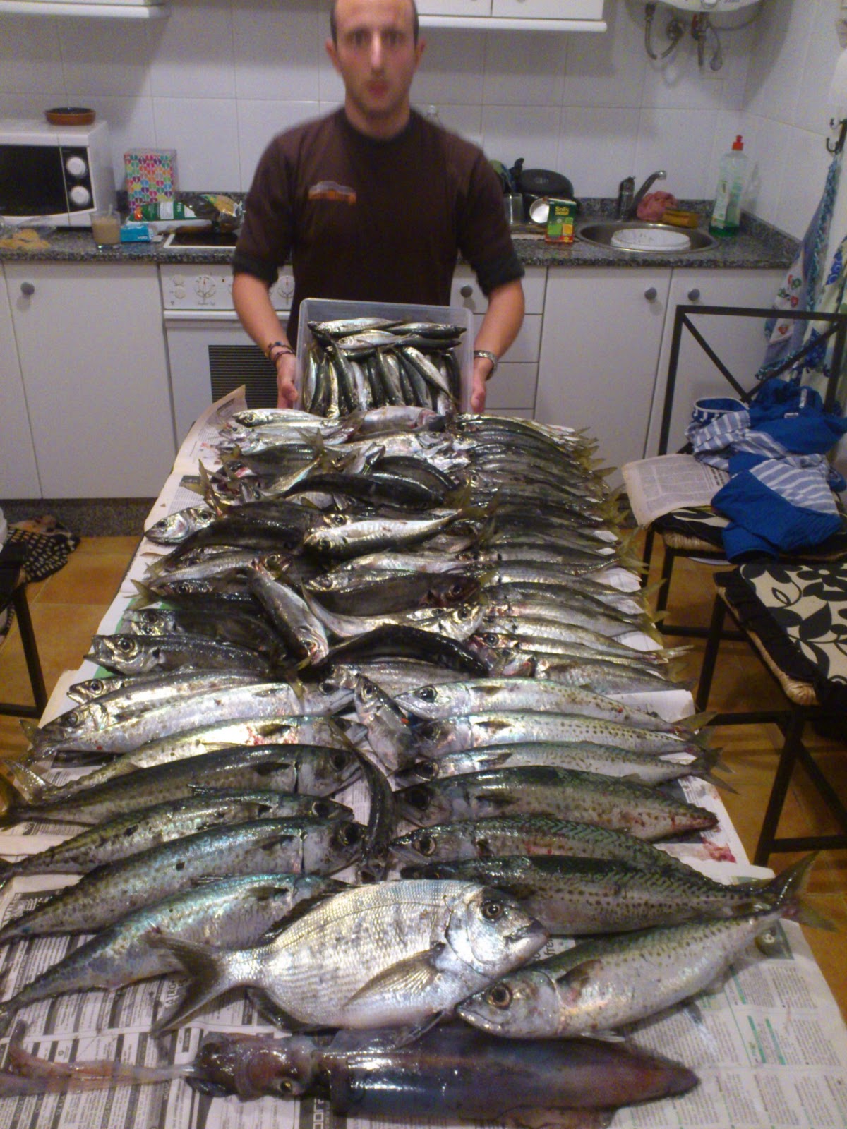 Pescando por Asturias: chicharros y verdeles