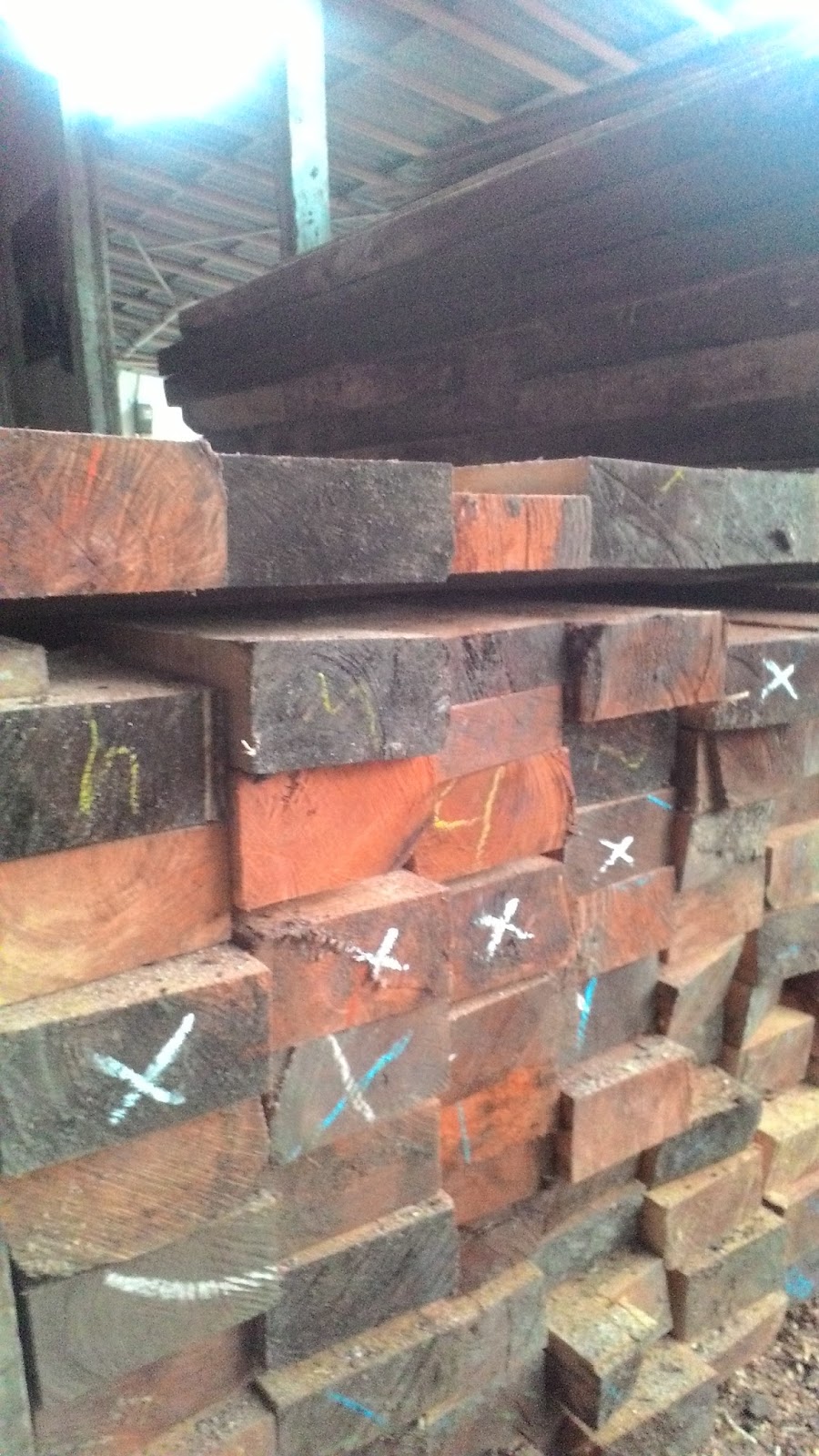 Harga Kayu Durian - DUTA RIMBA INDONESIA