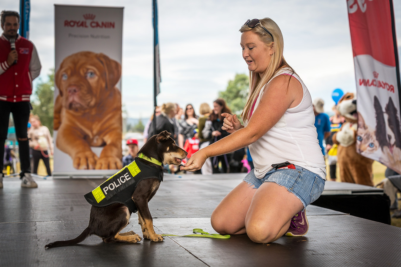 2019 Paws in the Park Camden - May 5 | Australian Dog Lover