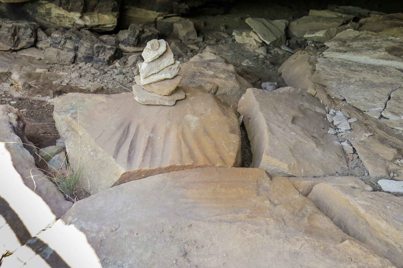 National Park Odyssey: Tara Cave Walking Track and Belougery Flats ...