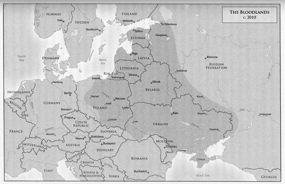 Can it happen here?: Splintered histories: the European killing fields ...