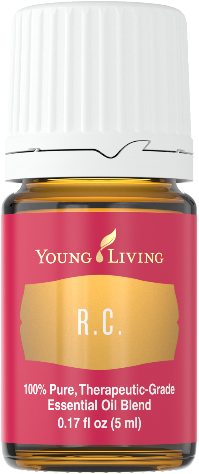 How To Use the Essential Oils From Young Living's Premium Starter Kit ...