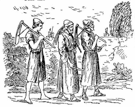 Divine Mercy Apostolate: Parable of the Laborers in the Vineyard