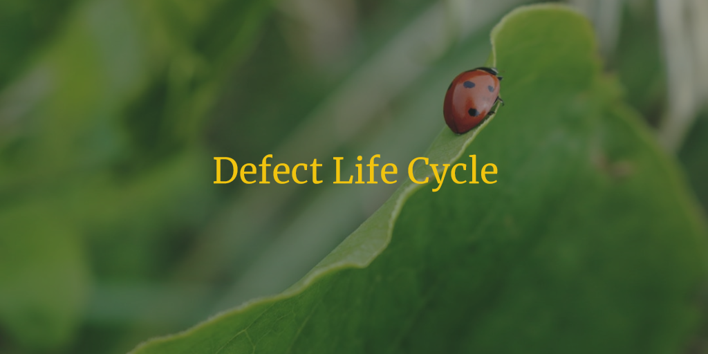 Defect Life Cycle