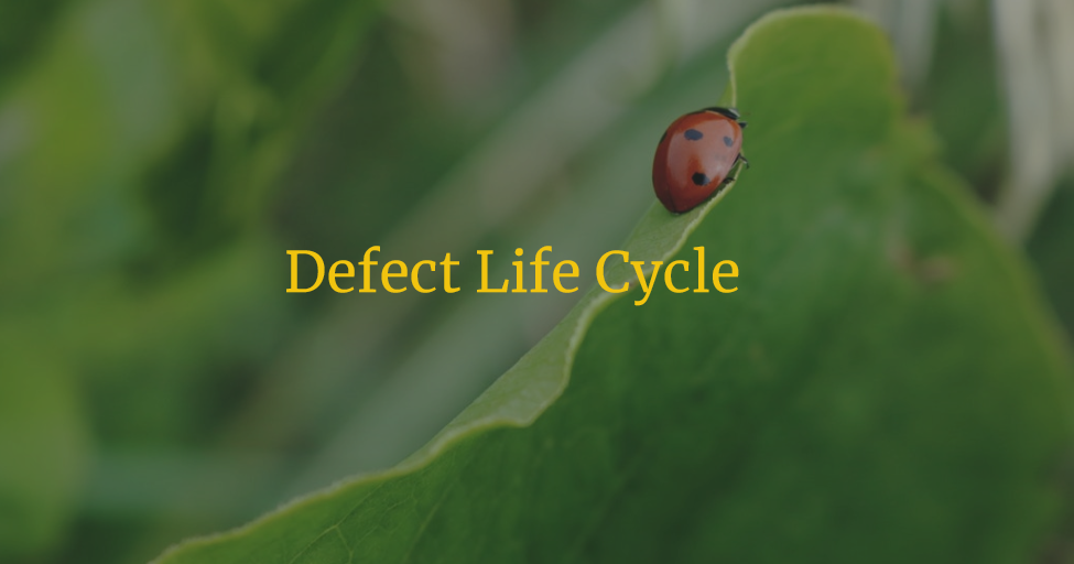 Defect Life Cycle