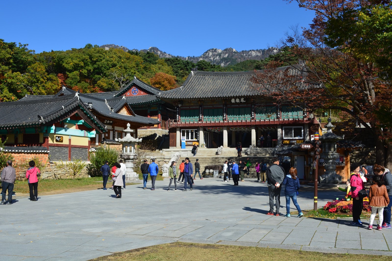 Fall Foliage Sightseeing In Korea - Donghwasa Temple of Mt. Palgong, Daegu