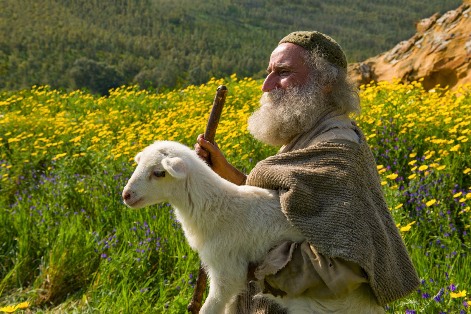 Primary New Testament: May 2015