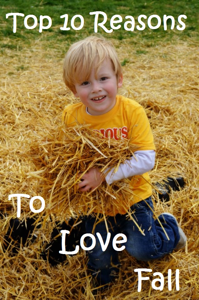 Handmade by CJ: Top 10 Reasons To Love Fall!