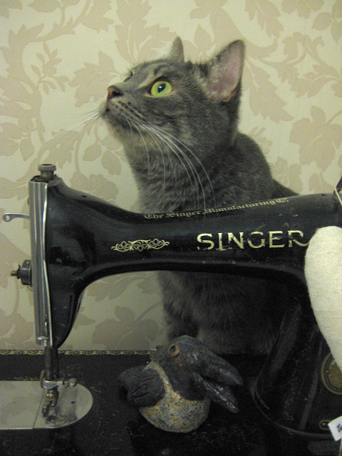 Olipa kerran koti: heinäkuuta 2013