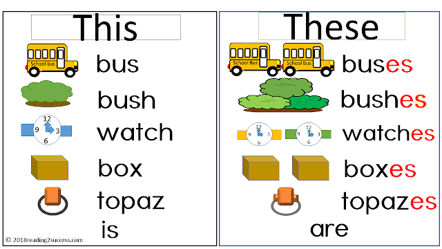 Reading2success: This or These?