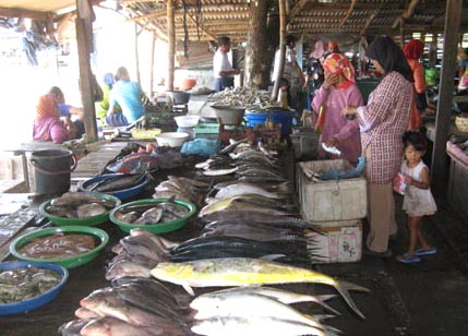 Jenis Ikan Yang Dijual di TPI Sedati | TPI | Tempat Pelelangan Ikan ...