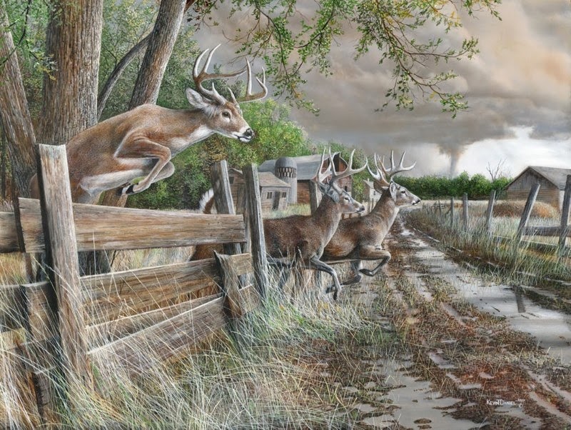 D.W.C. Animals Life - Painter Kevin Daniel - DANCE WITH COLORS