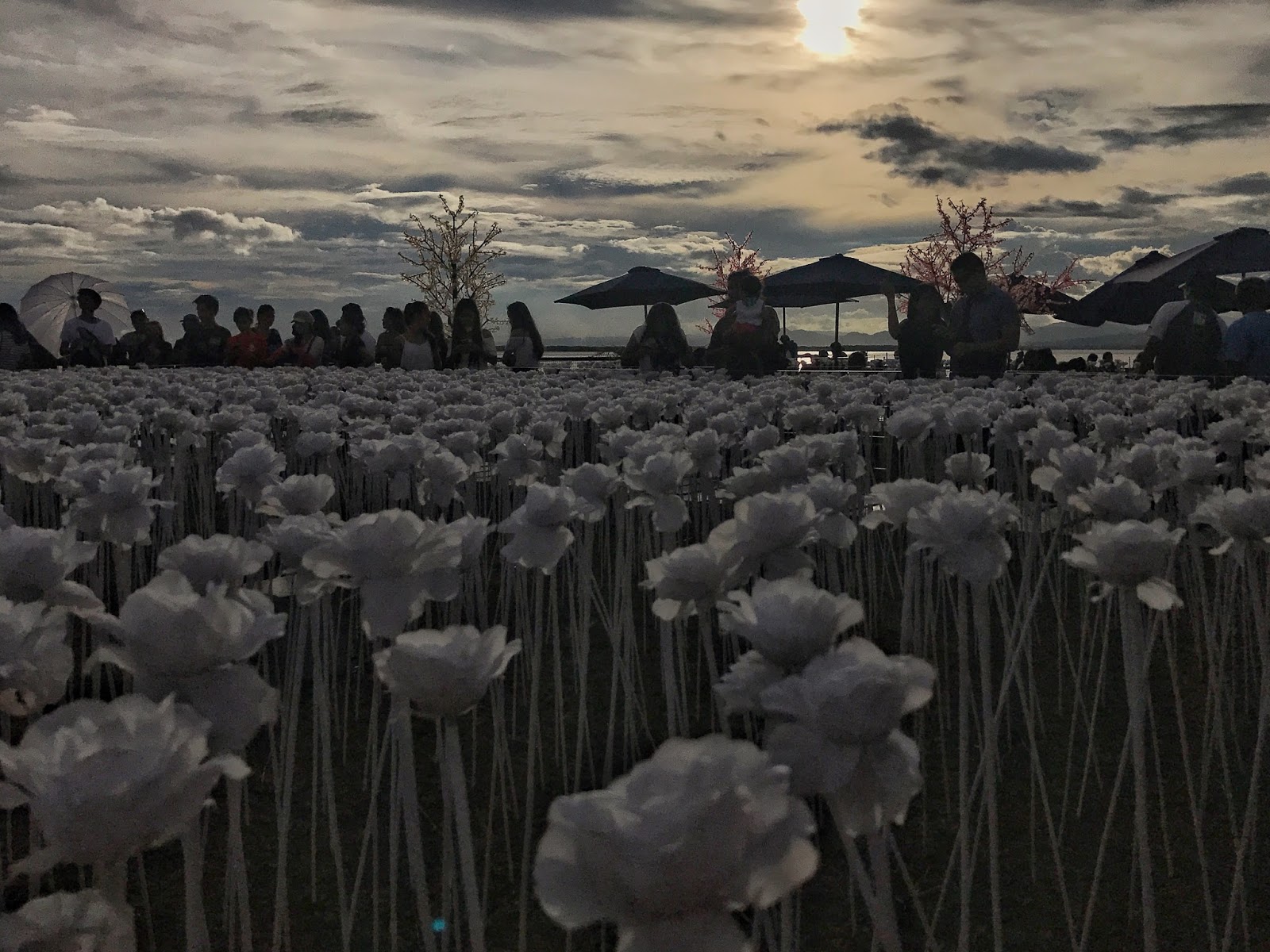 What Mary Loves: When in Cebu: 10,000 Roses Café