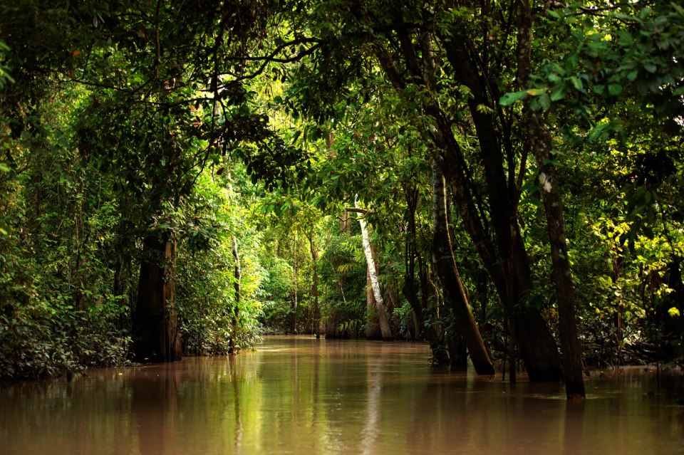 COSAS MIAS...: PERÚ...