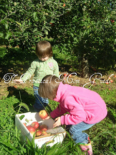 The Practical Mom Guide: 2011