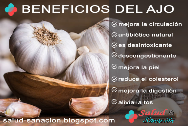 PROPIEDADES CURATIVAS DEL AJO - Salud y Sanación