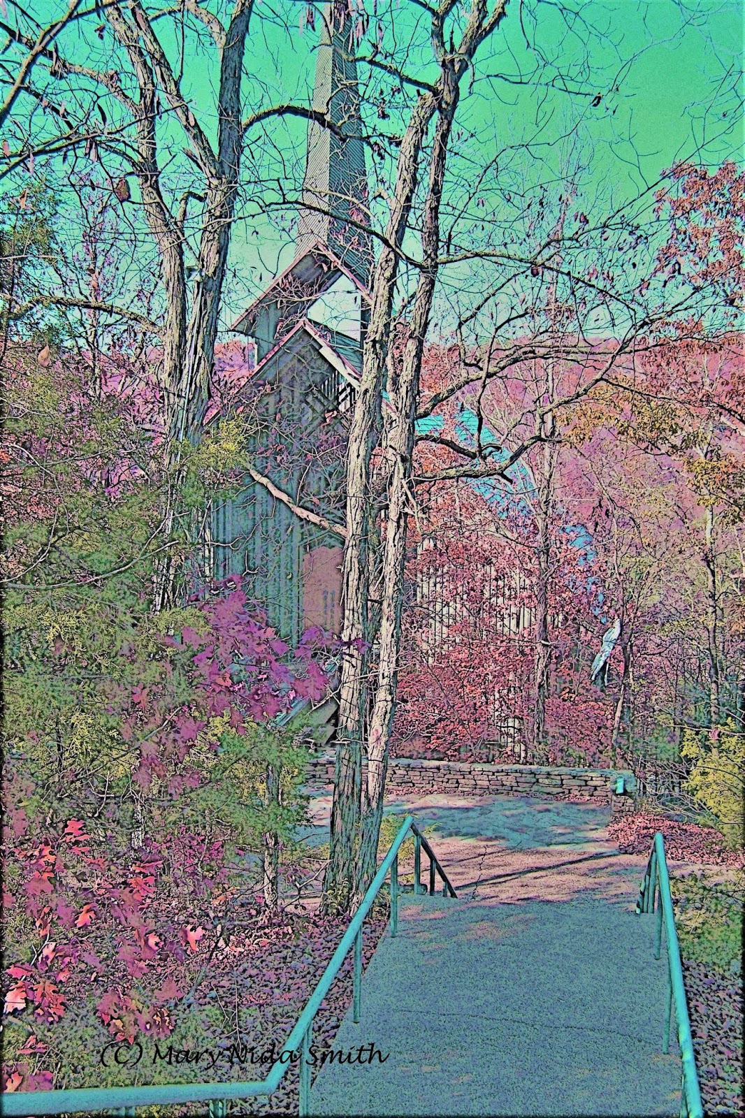 Life's Beautiful Path: Digital Art Photography by Mary Nida Smith