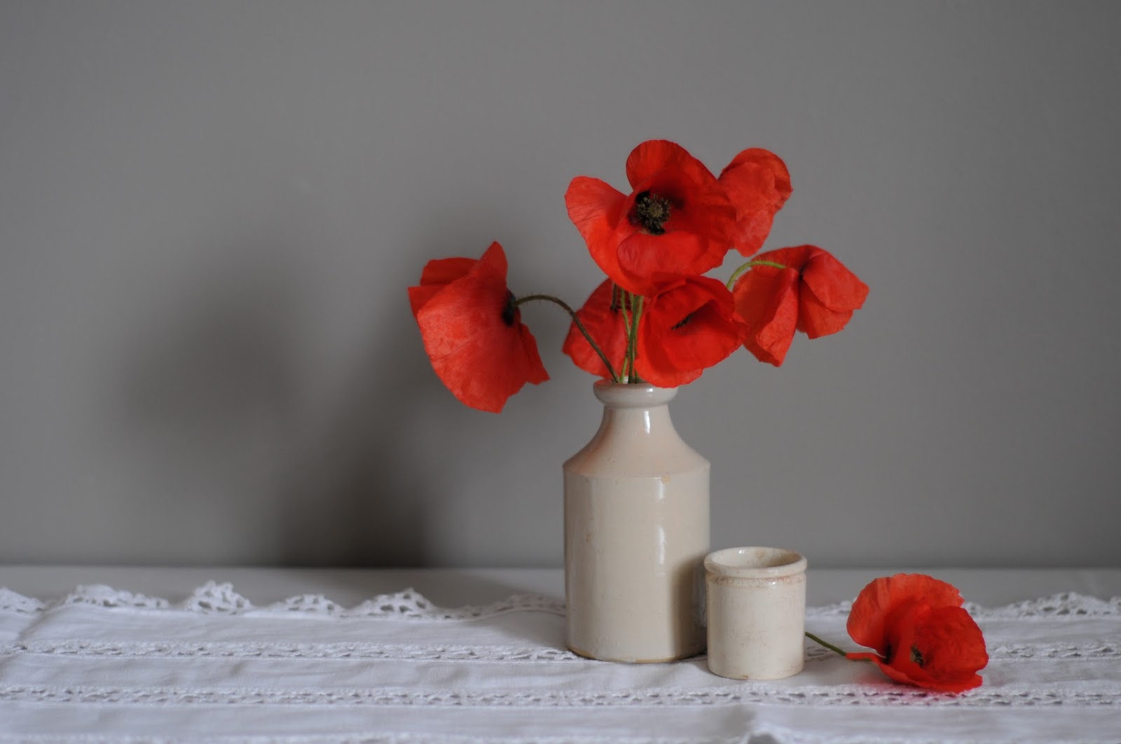 at home with red: Poppy Still Life
