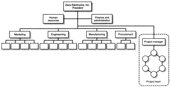 Dr. Okan Acar'ın İnternet Sitesi: Project Management Organization Types