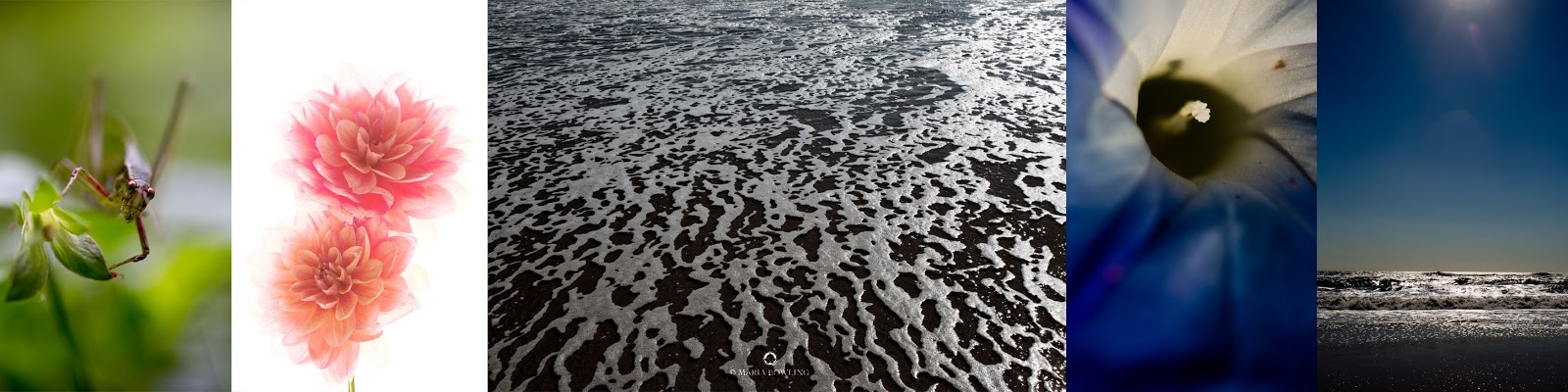 Pretty Medicine : October 2017