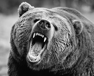 Arkoudaphobia: Where It All Began