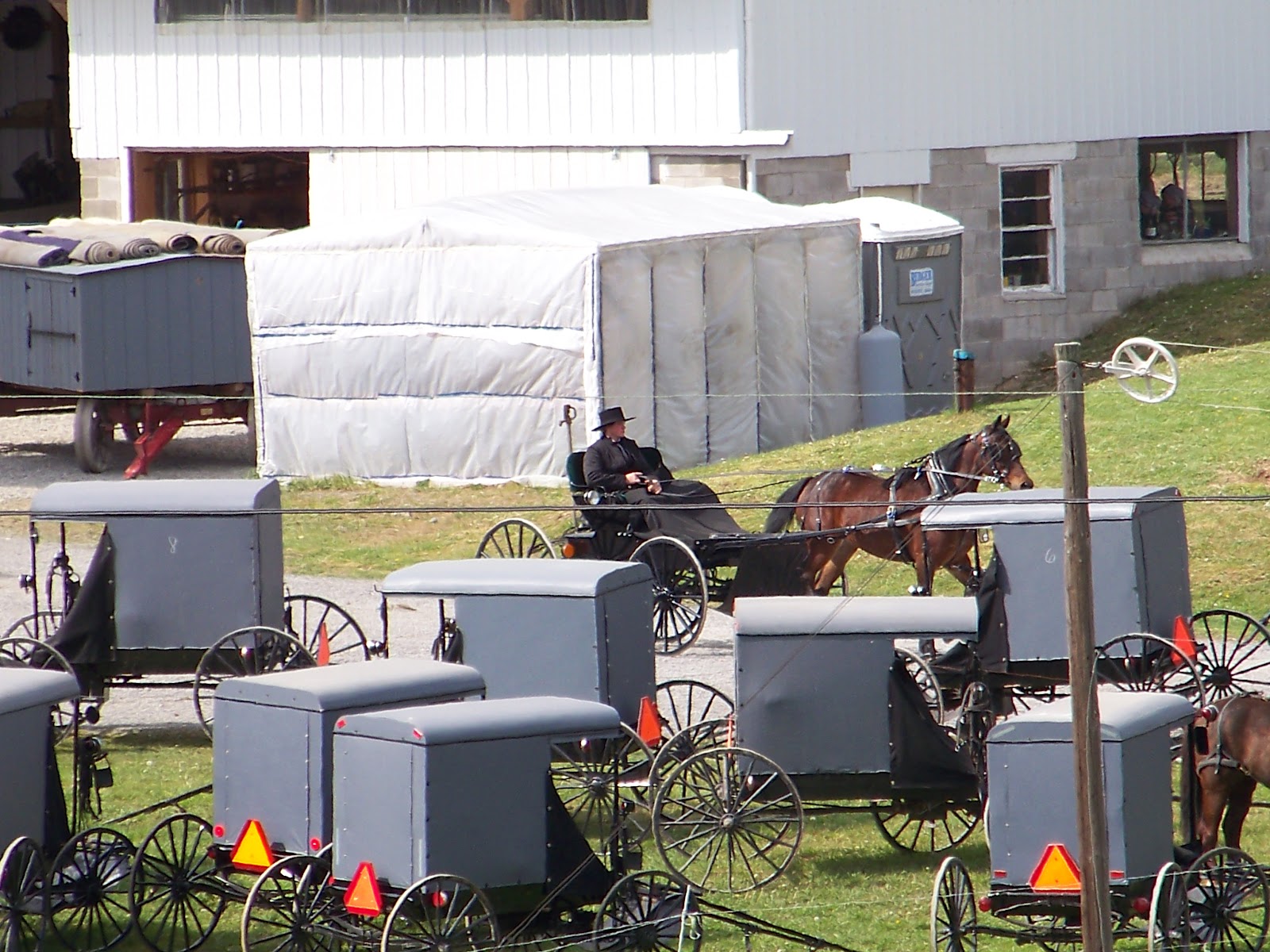 Landscape, Nature and Wildlife Photography done by Angie K. Johnson ...