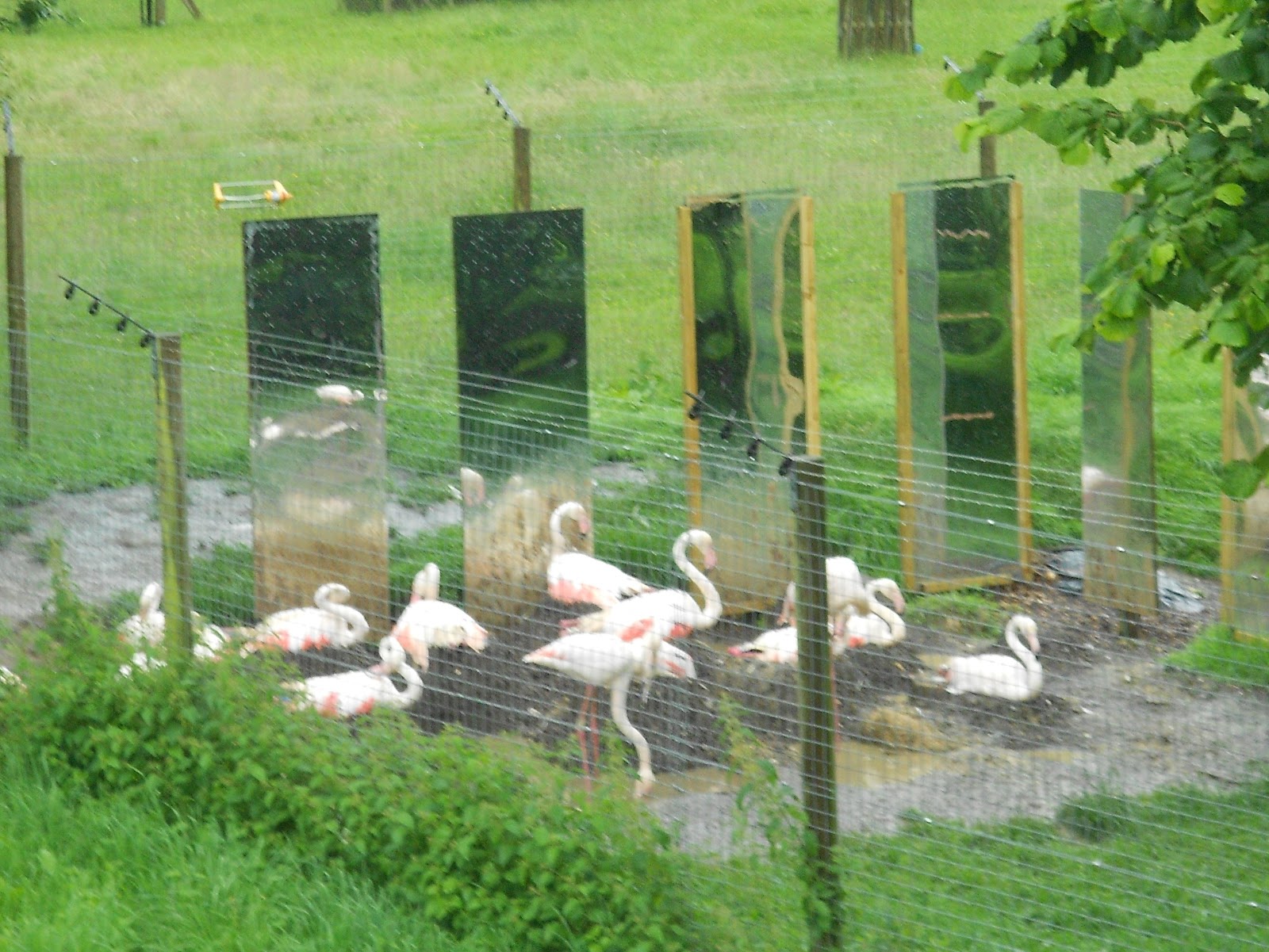 Educating Hannah: Marwell Zoo Trip 2012