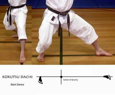 Rein Karate Academy: Karate Stances with Pictures