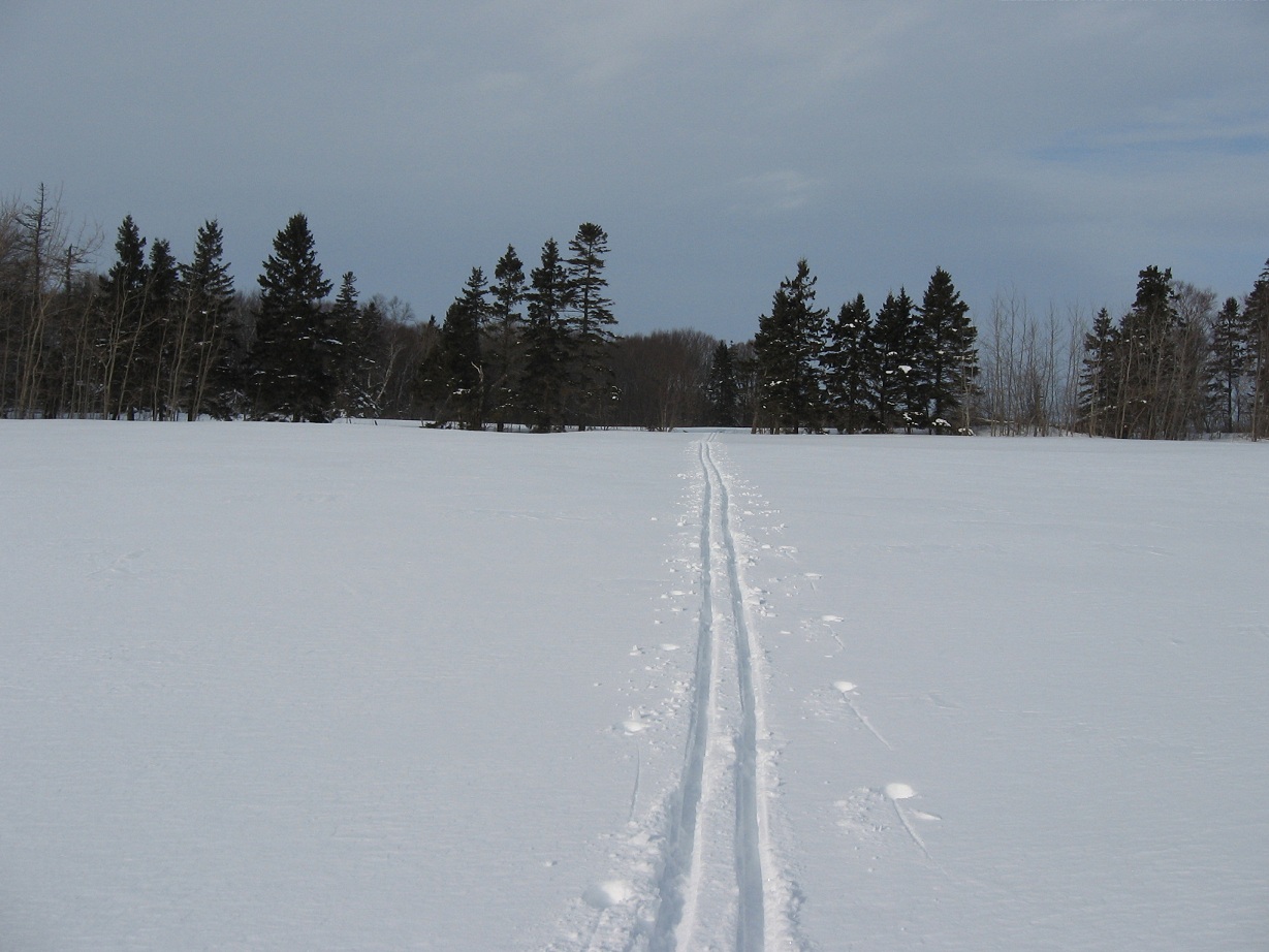 Pedaling PEI: Tracks in the fresh snow