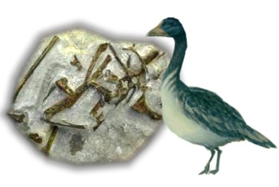 Welcome to the Jungle!!!: JENIS-JENIS DINOSAURUS