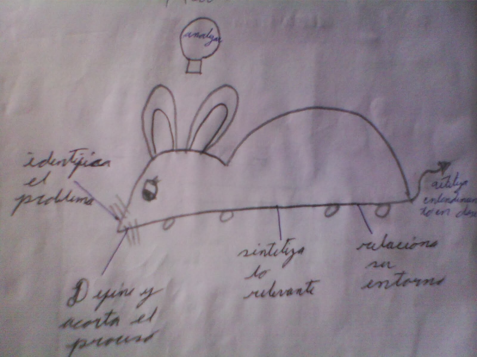Técnicas de aprendizaje : Tecnica del raton