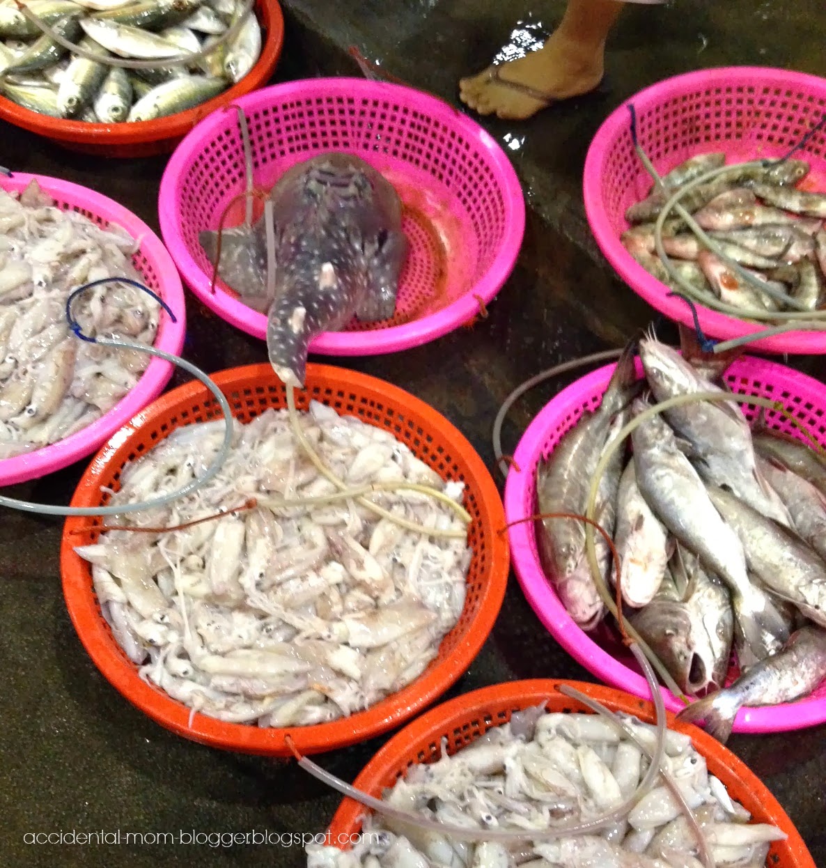 Our Zombie Date Night @ Senoko Fishery Port |ABSOLUTELY Ade by The ...